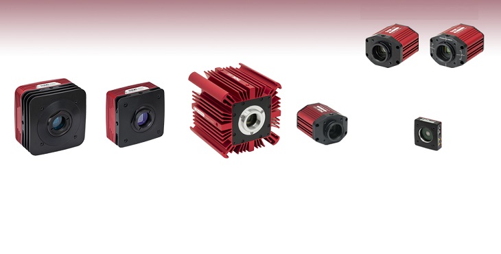 dB electronic instruments srl